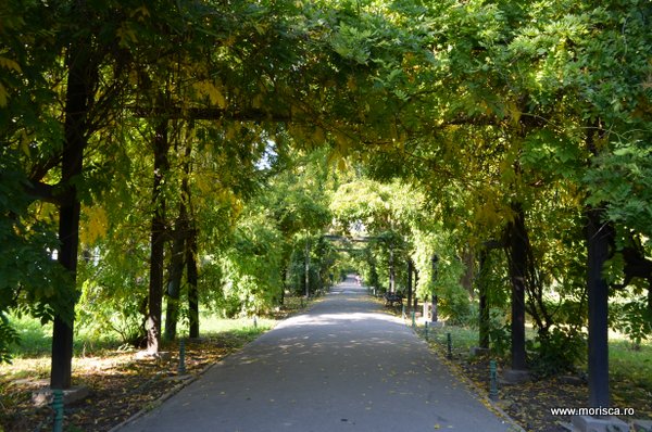 Toamna in Bucuresti: Gradina Cismigiu | Blog de evenimente si calatorii ...