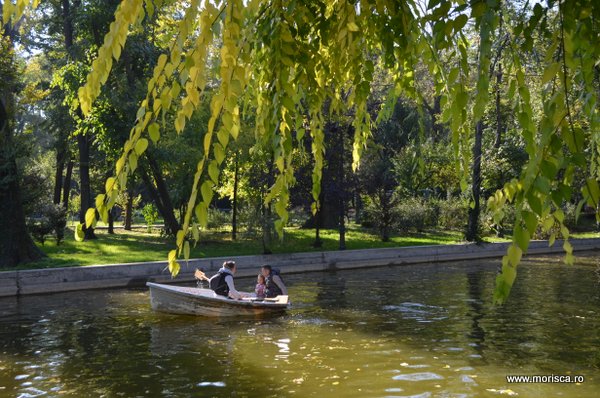 Toamna in Bucuresti: Gradina Cismigiu | Blog de evenimente si calatorii ...