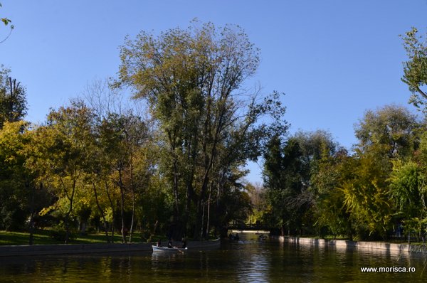 Toamna in Bucuresti: Gradina Cismigiu | Blog de evenimente si calatorii ...