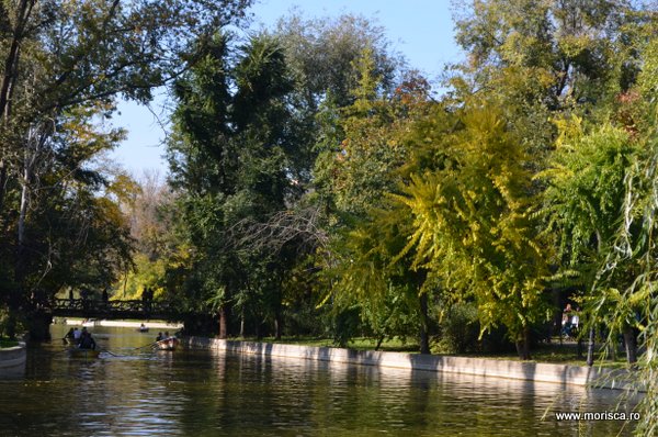 Toamna in Bucuresti: Gradina Cismigiu | Blog de evenimente si calatorii ...