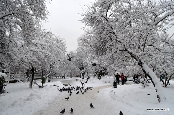 Zapada in Gradina Cismigiu din Bucuresti | Blog de evenimente si ...