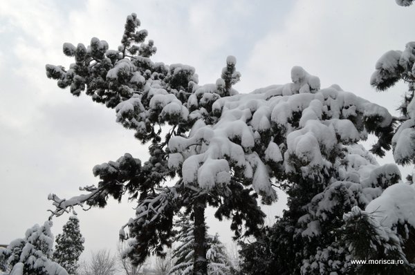 Zapada in Gradina Cismigiu din Bucuresti | Blog de evenimente si ...