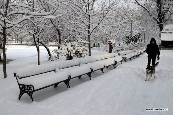 Zapada in Gradina Cismigiu din Bucuresti | Blog de evenimente si ...