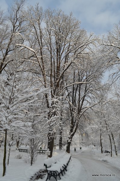 Zapada in Gradina Cismigiu din Bucuresti | Blog de evenimente si ...
