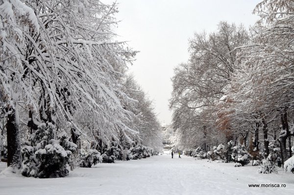 Zapada in Gradina Cismigiu din Bucuresti | Blog de evenimente si ...
