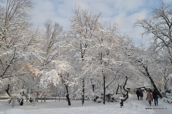 Zapada in Gradina Cismigiu din Bucuresti | Blog de evenimente si ...