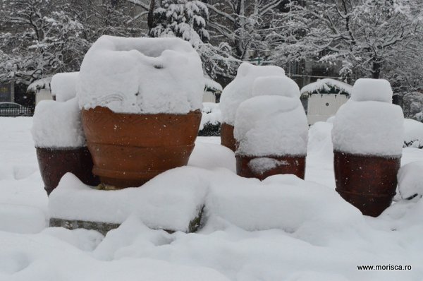 Zapada in Gradina Cismigiu din Bucuresti | Blog de evenimente si ...