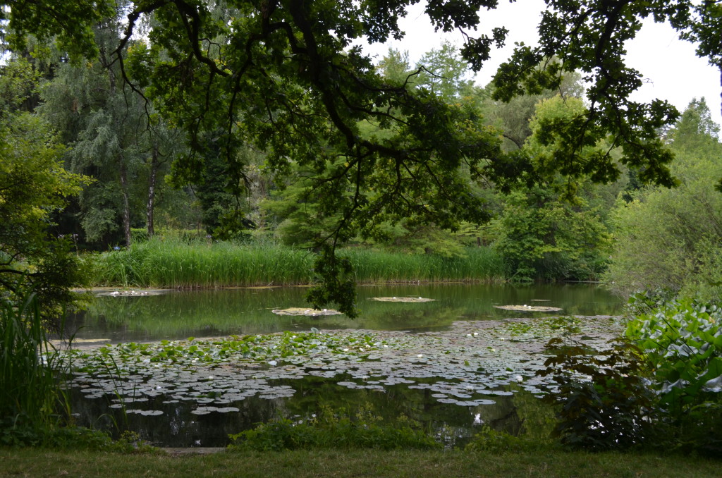 Dupa amiaza de weekend la Gradina Botanica din Munchen | Blog de ...