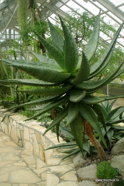 Gradina Zoologica din Budapesta | Blog de evenimente si calatorii ...